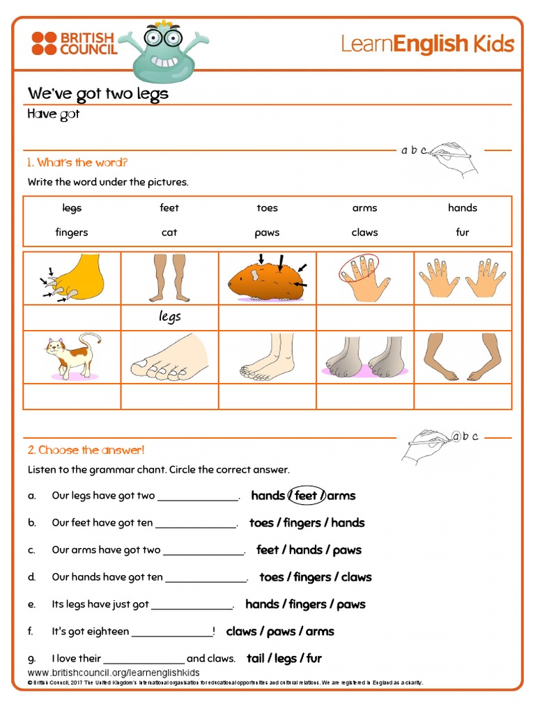 Pets Worksheets | PDF | Claw | Hand