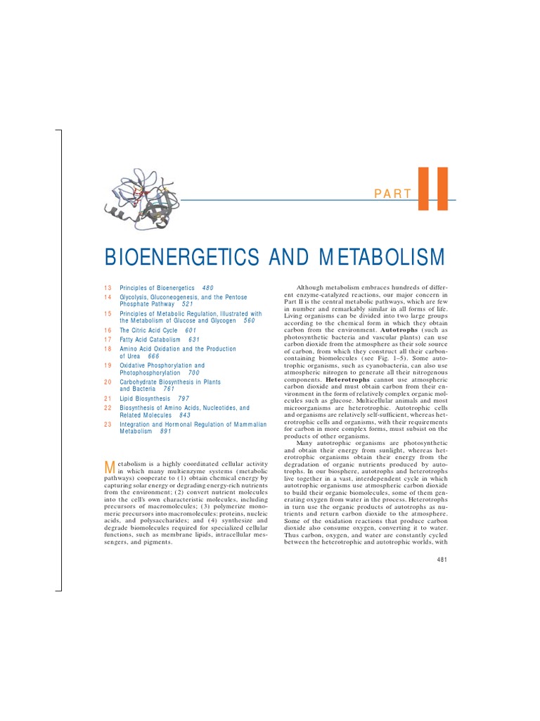 13 PDF | PDF | Metabolic Pathway | Metabolism