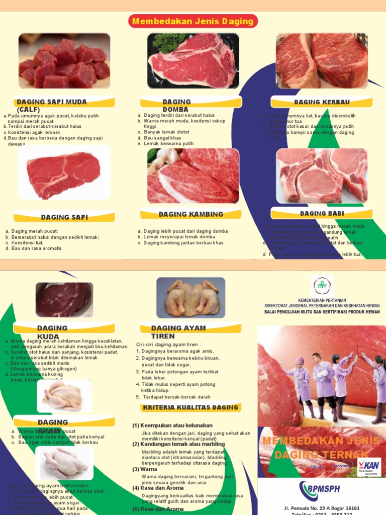 Klasifikasi dan Ciri-Ciri Jenis Daging | PDF