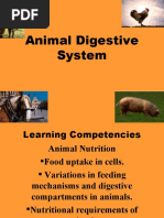 Digestive System of Goats | PDF | Ruminant | Digestion