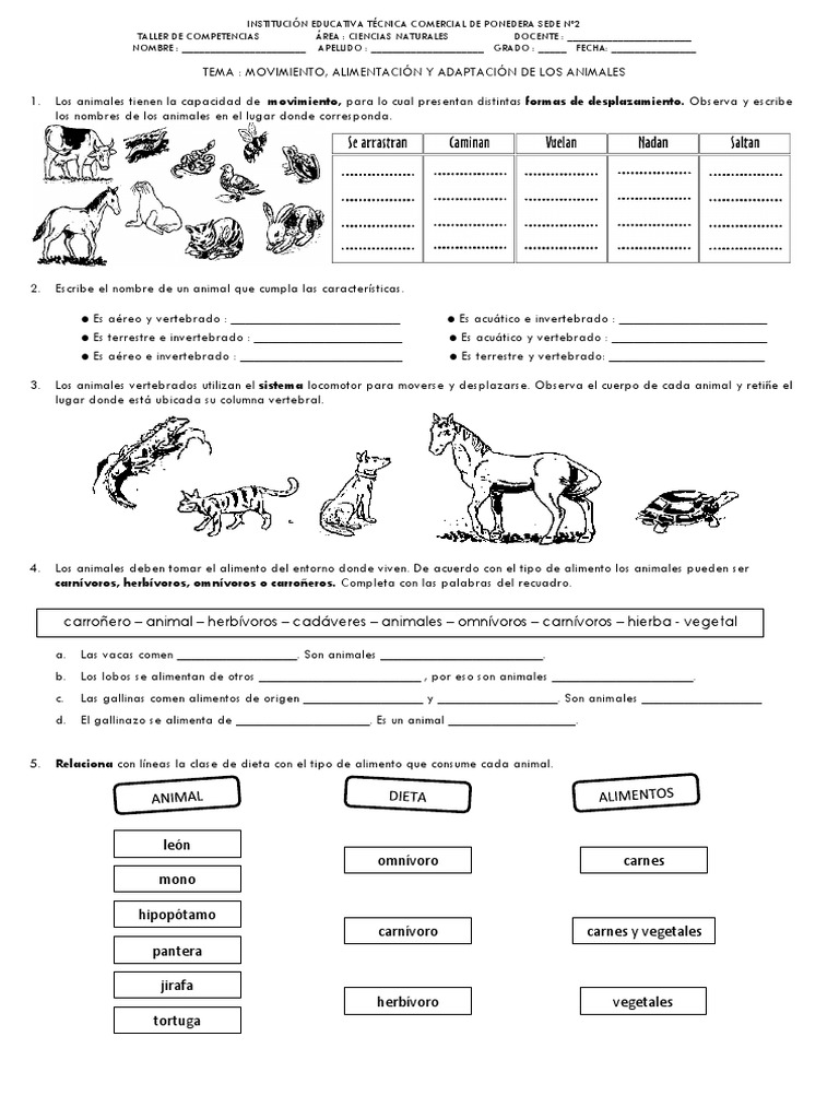 Movimiento en Los Animales | PDF | Organismos | Interés humano
