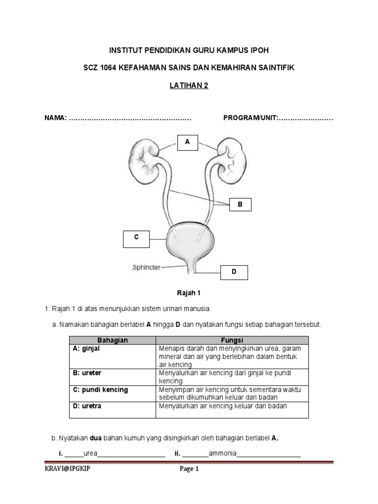 Latihan Tutorial 2 | PDF