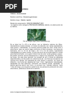 Adaptaciones de Las Plantas | PDF | Hoja | Tallo de la planta