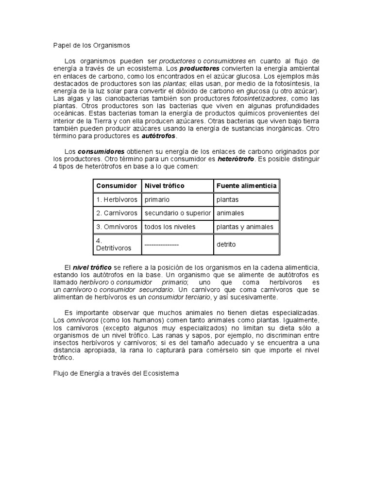 Flujo de Energía en La Cadena Trofica | PDF | Plantas | Nutrientes