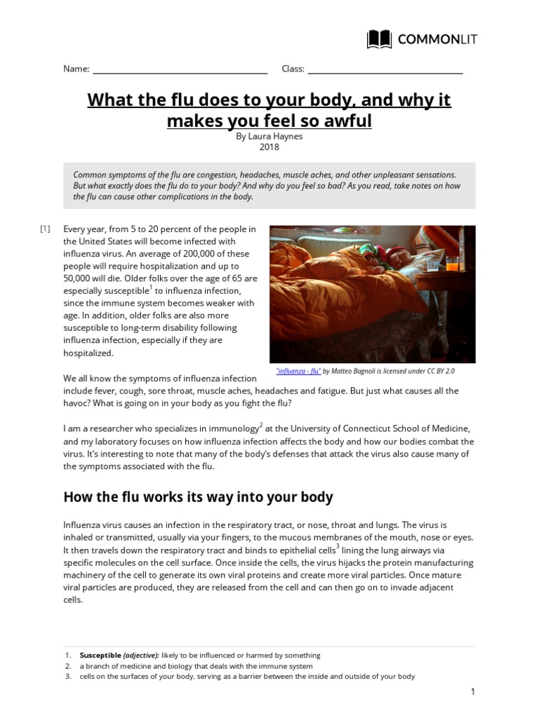 Commonlit What The Flu Does To Your Body and Why It Makes You Feel So ...