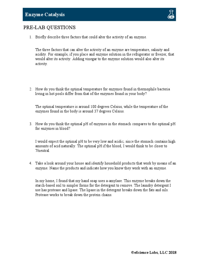 Enzyme Catalysis Lab | PDF | Digestion | Catalase