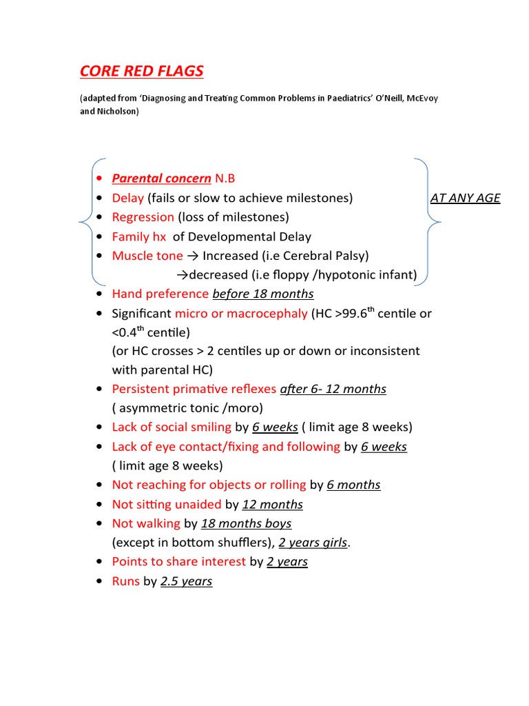 Core Red Flags | PDF