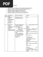 Panduan Lembar DDST untuk Anak | PDF