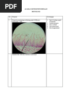 Laporan Praktikum Histologi Jaringan Dasar, Jaringan Epitel Dan Jaringan Ikat | PDF | Sains ...