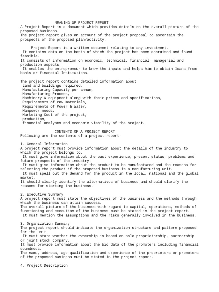Comprehensive Project Report Guide | PDF | Income Statement | Economies