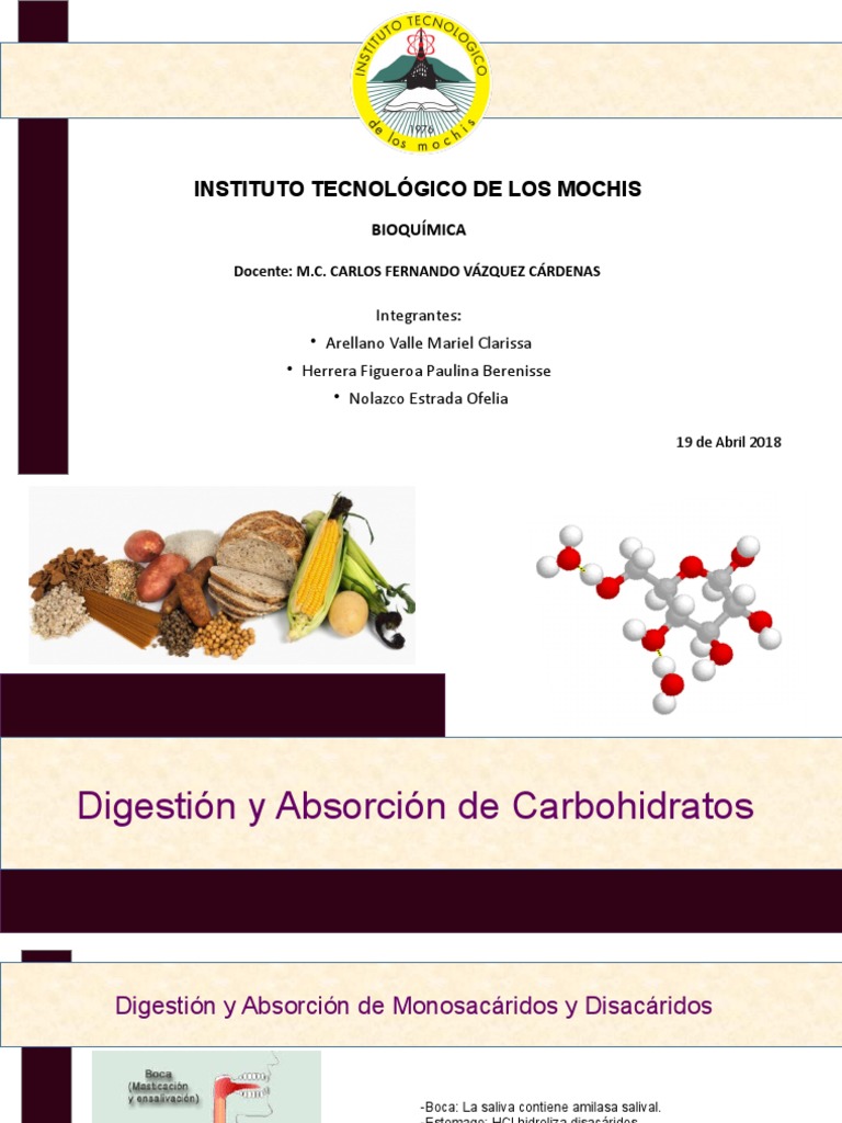 Digestion y Absorcion de Carbohidratos | PDF | Digestión ...