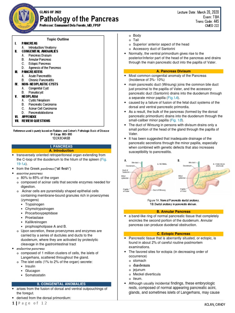 445 CMED 222 Pathology of The Pancreas PDF | PDF | Pancreas | Neoplasms
