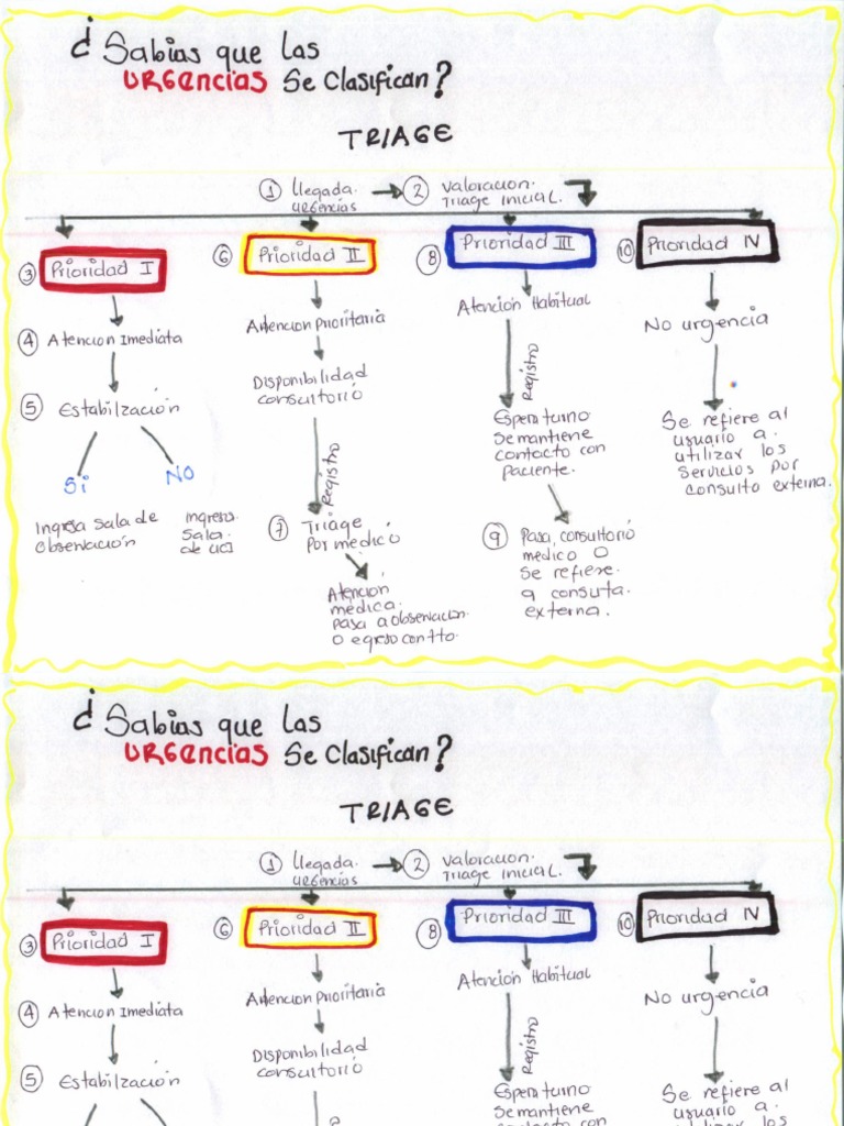 Mapa Mentral - Triage PDF | PDF