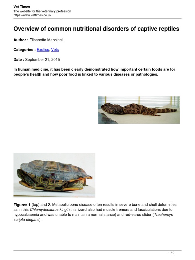 Overview of Common Nutritional Disorders of Captive Reptiles PDF | PDF ...