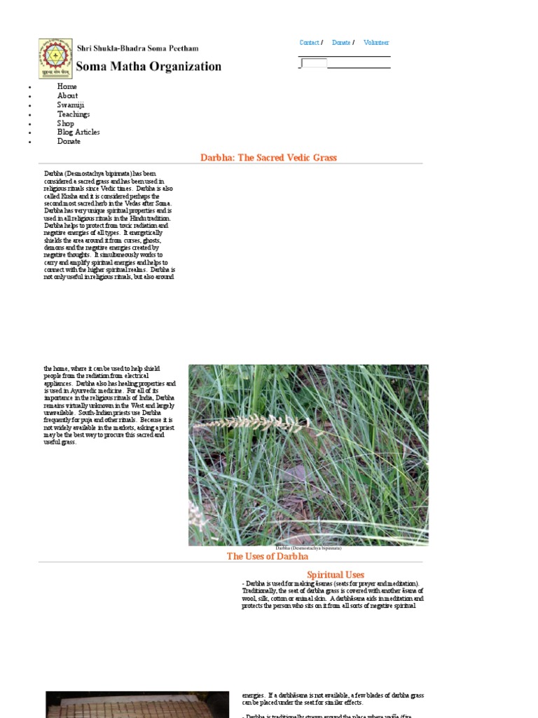 Darbha (Kusha) Grass | PDF | Religious Behaviour And Experience ...