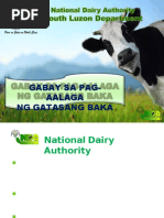 Sistemang Palaycheck para Sa Palayang May Patubig PDF | PDF