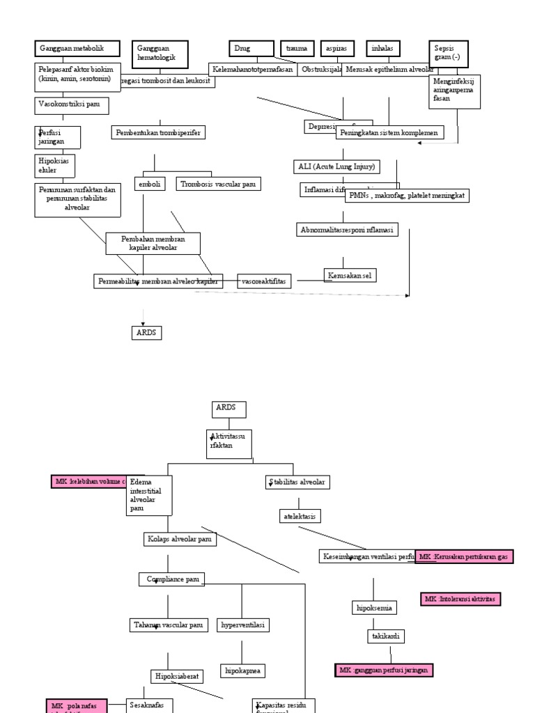 Pathways RDS Kelompok 3 | PDF