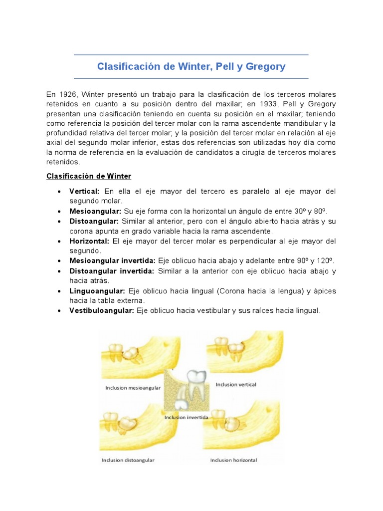 Clasificación de Winter | PDF | Naturaleza
