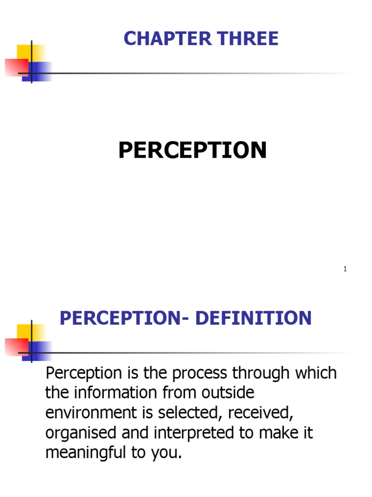 Chapter Three: Perception | PDF | Perception | Bias