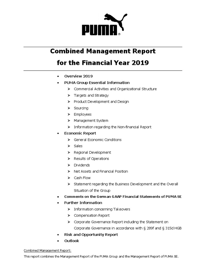 PUMA Consolidated Financial Statements 2019 PDF | PDF | Earnings Before ...