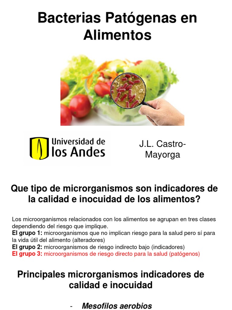 Bacterias Patogenas | PDF | Escherichia coli | Salmonela