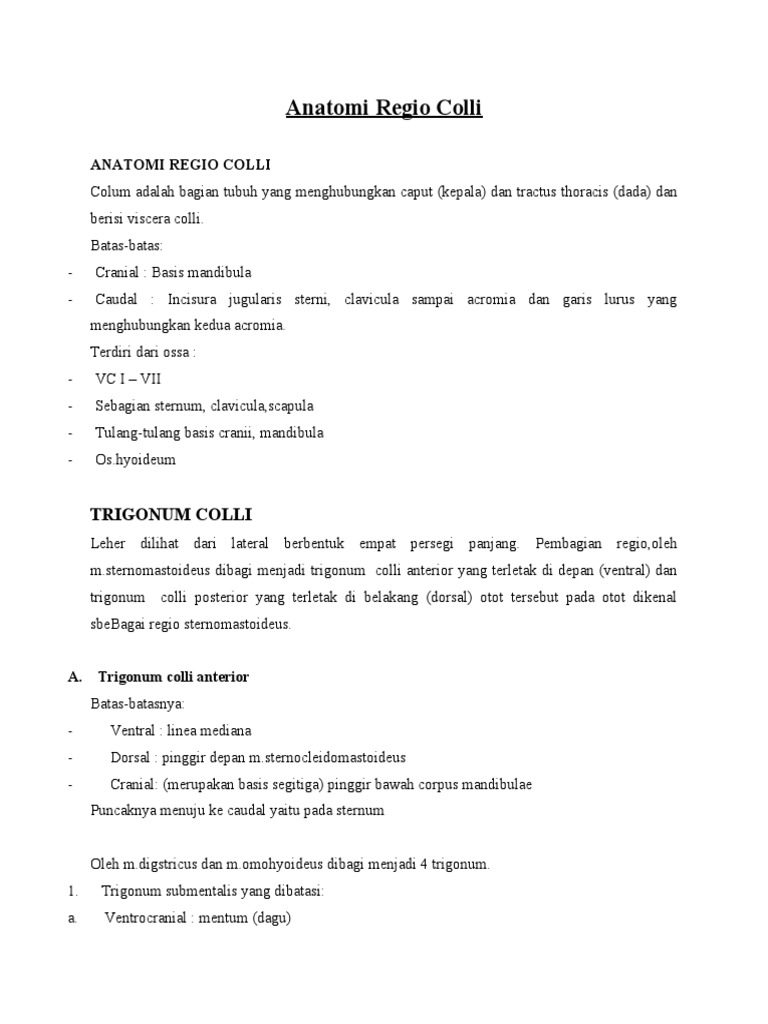 Anatomi Regio Colli | PDF