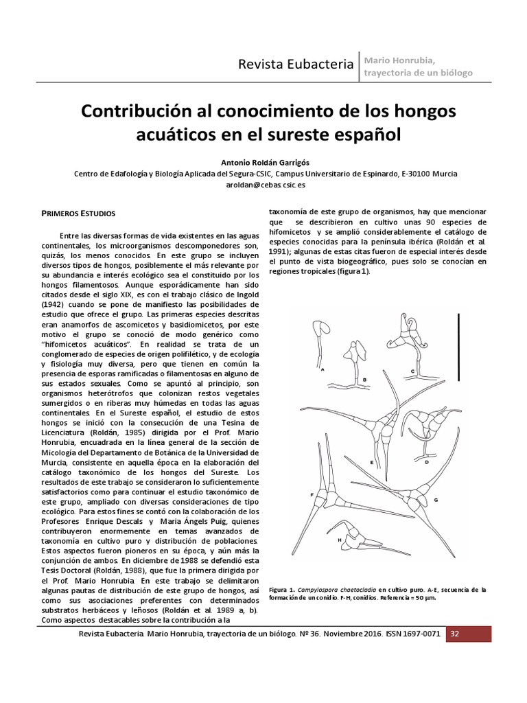 Hongos Acuaticos | PDF | Hongo | Taxonomía (biología)