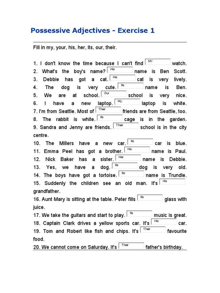 Possessive Adjectives Exercises | PDF