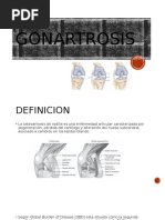 DELTISONA B 4 40mg Prospecto Paciente | PDF | Alergia | Asma