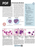 Sysmex KX 21 Histogram Interpretation Handbook | PDF | Anemia | White ...