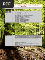 Qué Es El CONAP | PDF