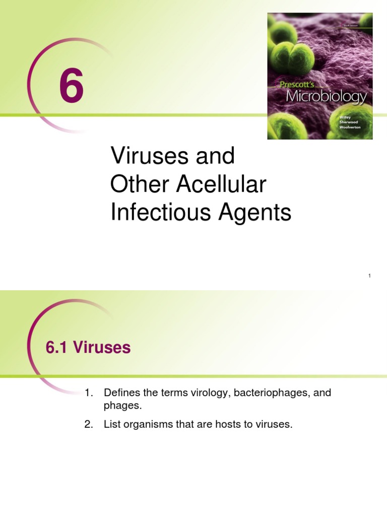 Virions Infect All Cell Types PDF | PDF | Bacteriophage | Virus