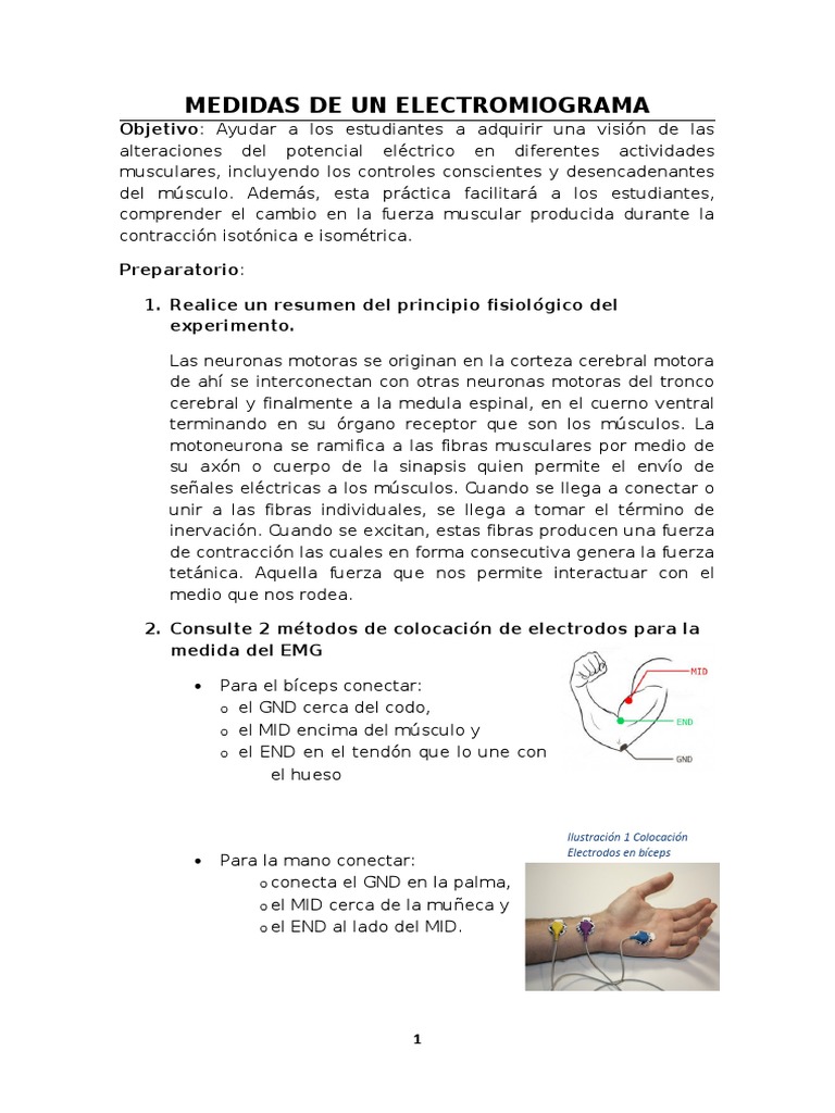 Mediciones de Un Electrocardiograma | Descargar gratis PDF | Ojo humano | Electromiografia