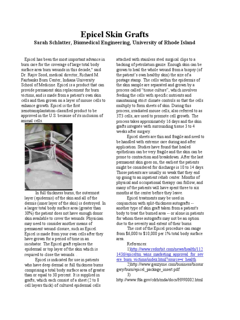 Epicel Autografts PDF | PDF | Skin | Epidermis