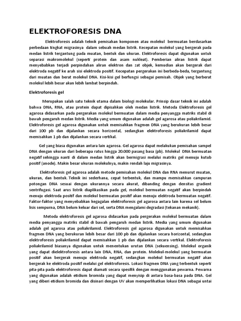 Elektroforesis Dna | PDF