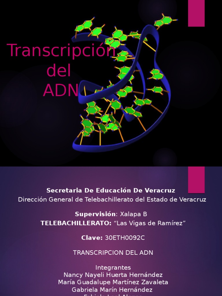 Transcripcion Del Adn | PDF | Rna | Biología estructural