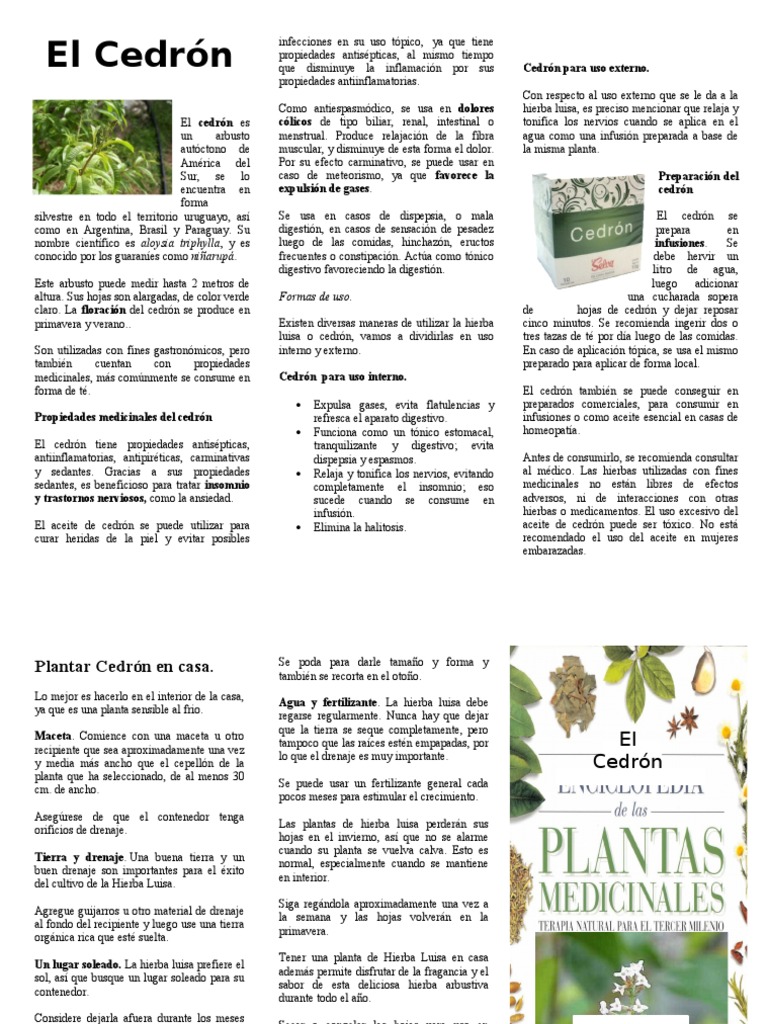 Cedron | PDF | Bienestar | Medicina