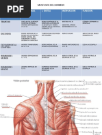 PALESTESIA Definicion y Exploración | PDF | Mano | Sistema ...