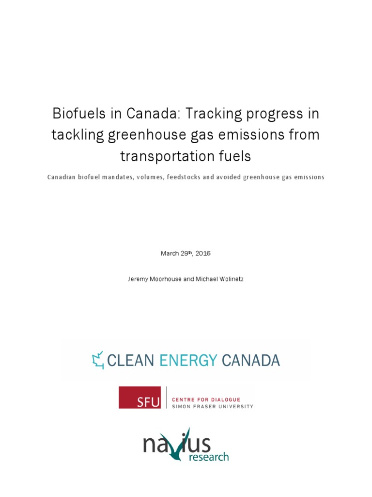 FINAL Report Biofuel Policy Review March 2016 | PDF | Low Carbon ...
