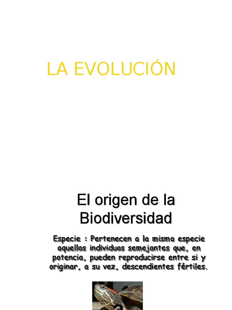 Presentación Evolución | PDF | Evolución | Charles Darwin