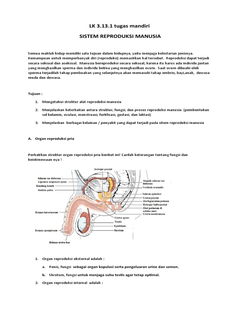 Tugas Biologi LKS Reproduksi | PDF