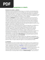 QUIMIOTROFOS | PDF | Sustancias químicas | Biología
