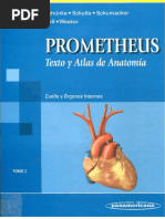 Prometheus - Atlas de Anatomia PDF | PDF