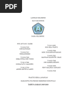 Tabel Standar Z Score | PDF