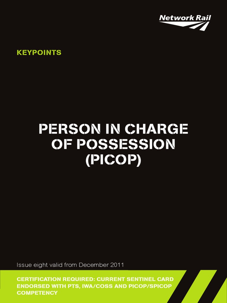 Person in Charge of Possession (Picop) : Keypoints | PDF | Transport