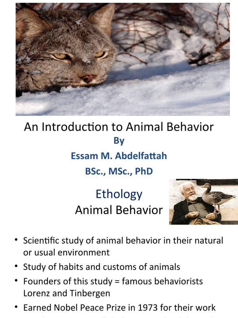 An Introduction To Animal Behavior: by Essam M. Abdelfattah BSC., MSC ...
