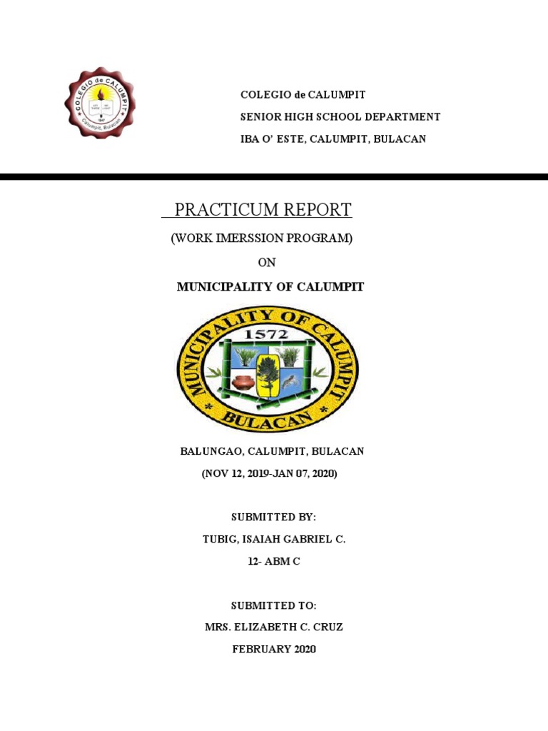 Practicum Report: (Work Imerssion Program) ON | PDF