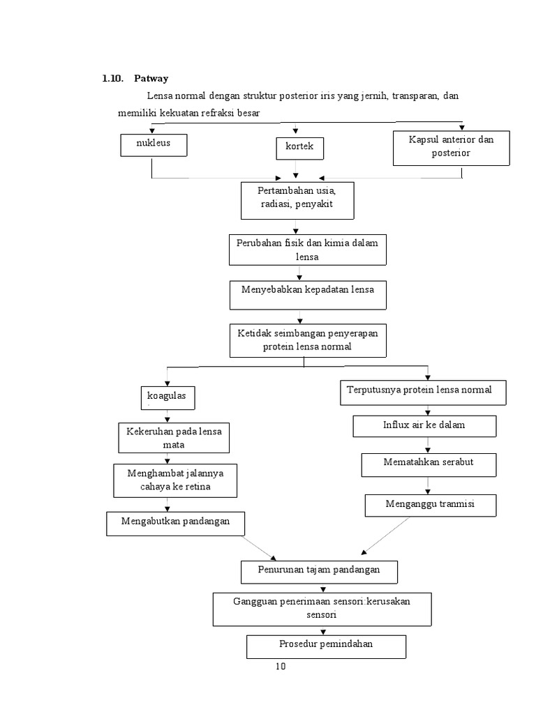 Pathway Katarak | PDF