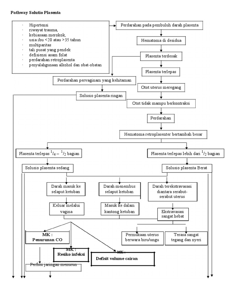 Pathway Solutio Pasenta | PDF