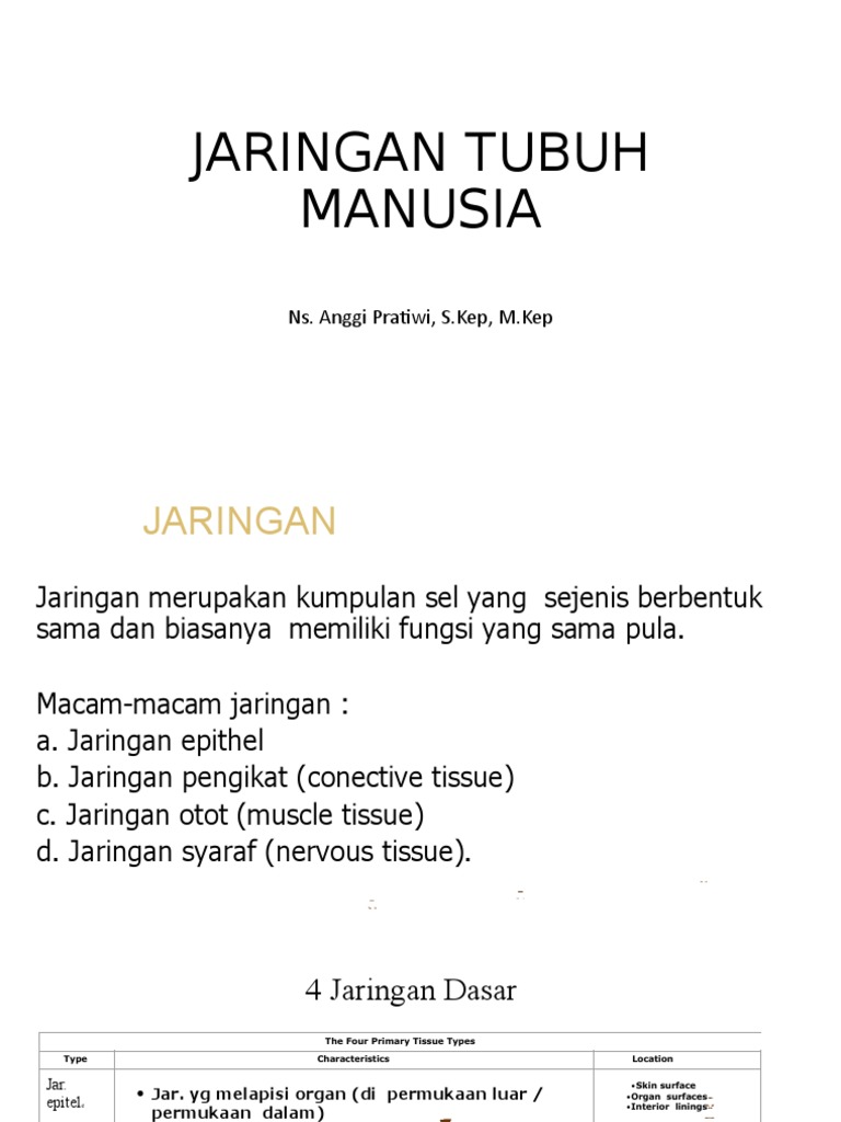 Jaringan Tubuh Manusia | PDF